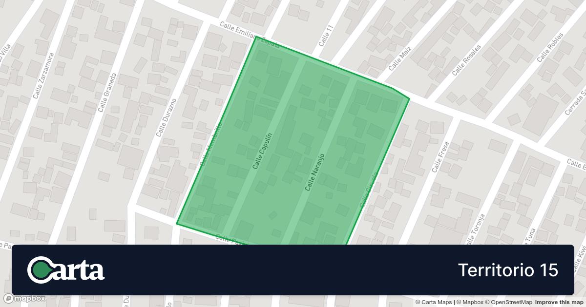 Territorio 15 - Carta Maps